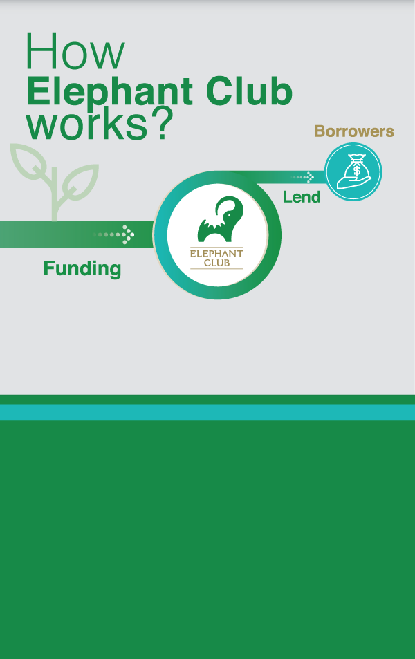 Elephant Club - About Us